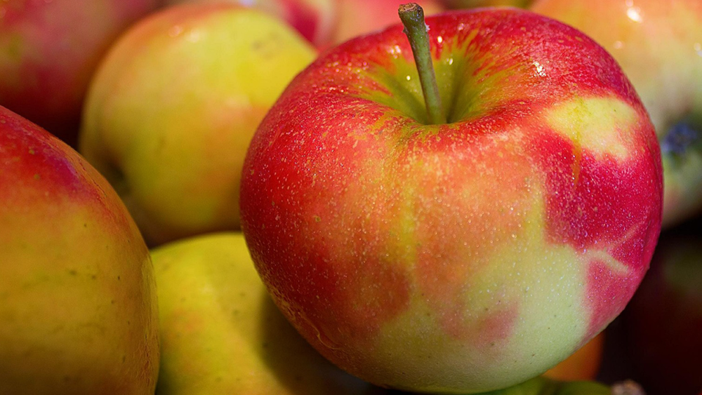 Manzano - BASF Agricultural Solutions España