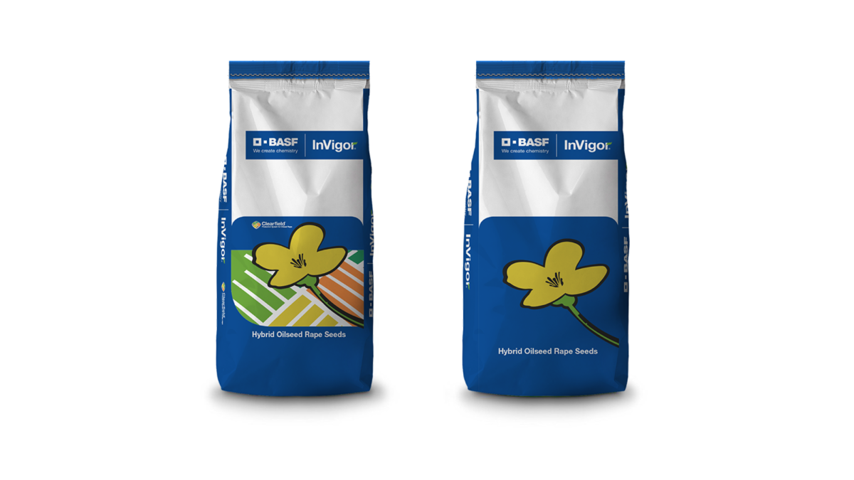 Colza InVigor®: la experiencia de nuestros agricultores