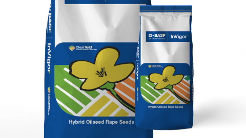 Descargas de productos