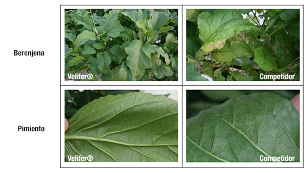 Velifer®, bio Y eficaz