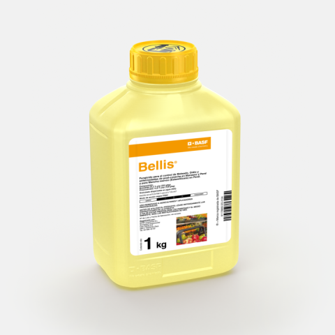 Insecticidas - BASF Agricultural Solutions España