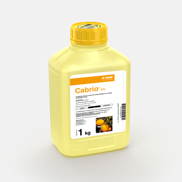 Fungicidas - BASF Agricultural Solutions España