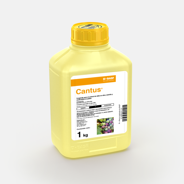 Fungicidas - BASF Agricultural Solutions España