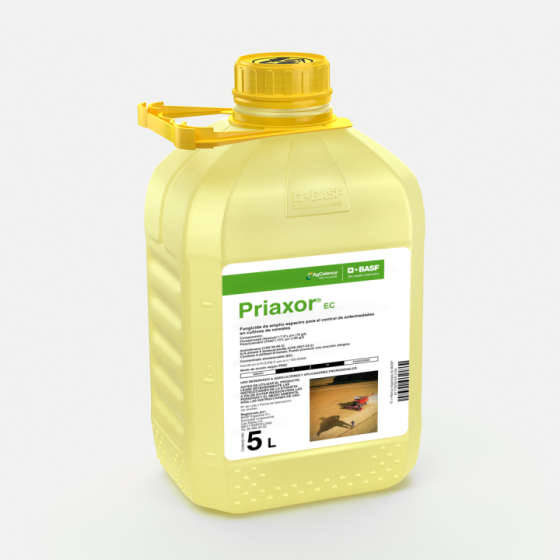Fungicidas - BASF Agricultural Solutions España
