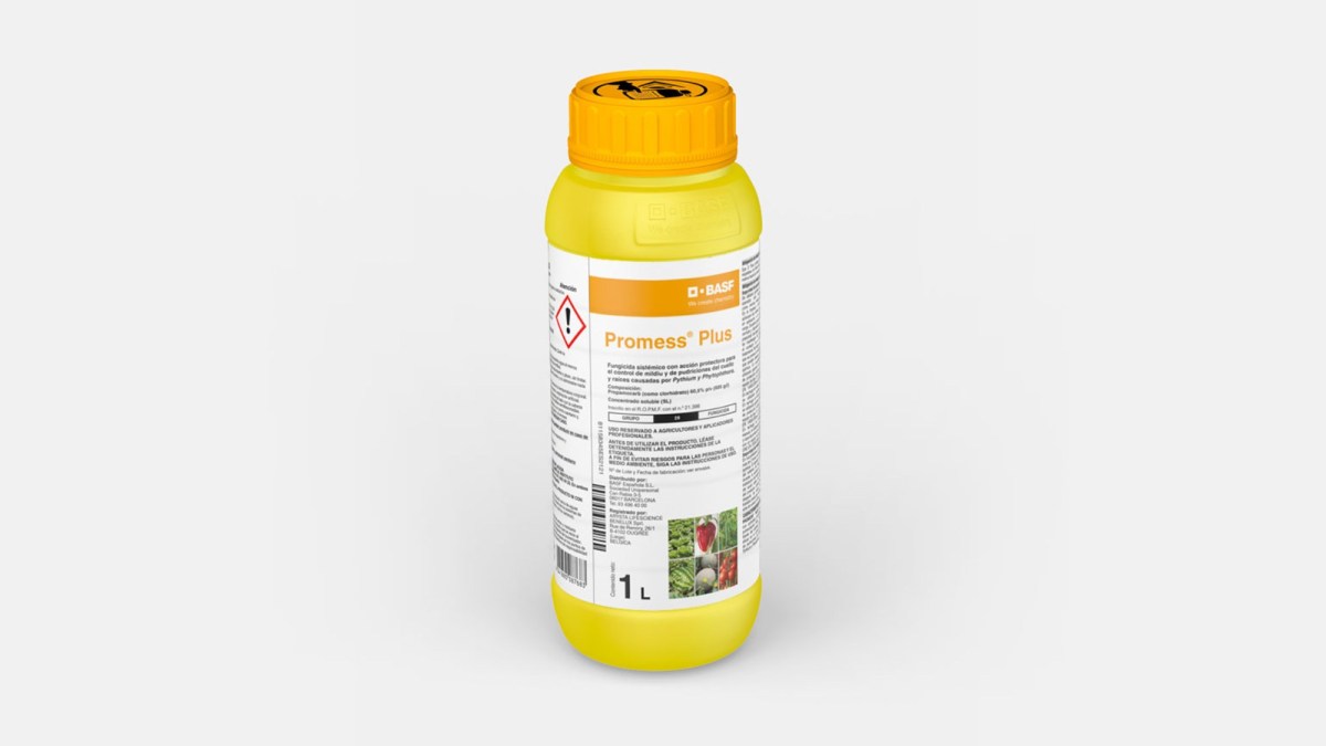 Mildiu, el mayor enemigo de la lechuga