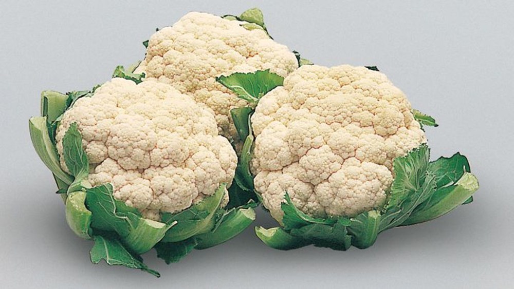 Coliflor - BASF Agricultural Solutions España