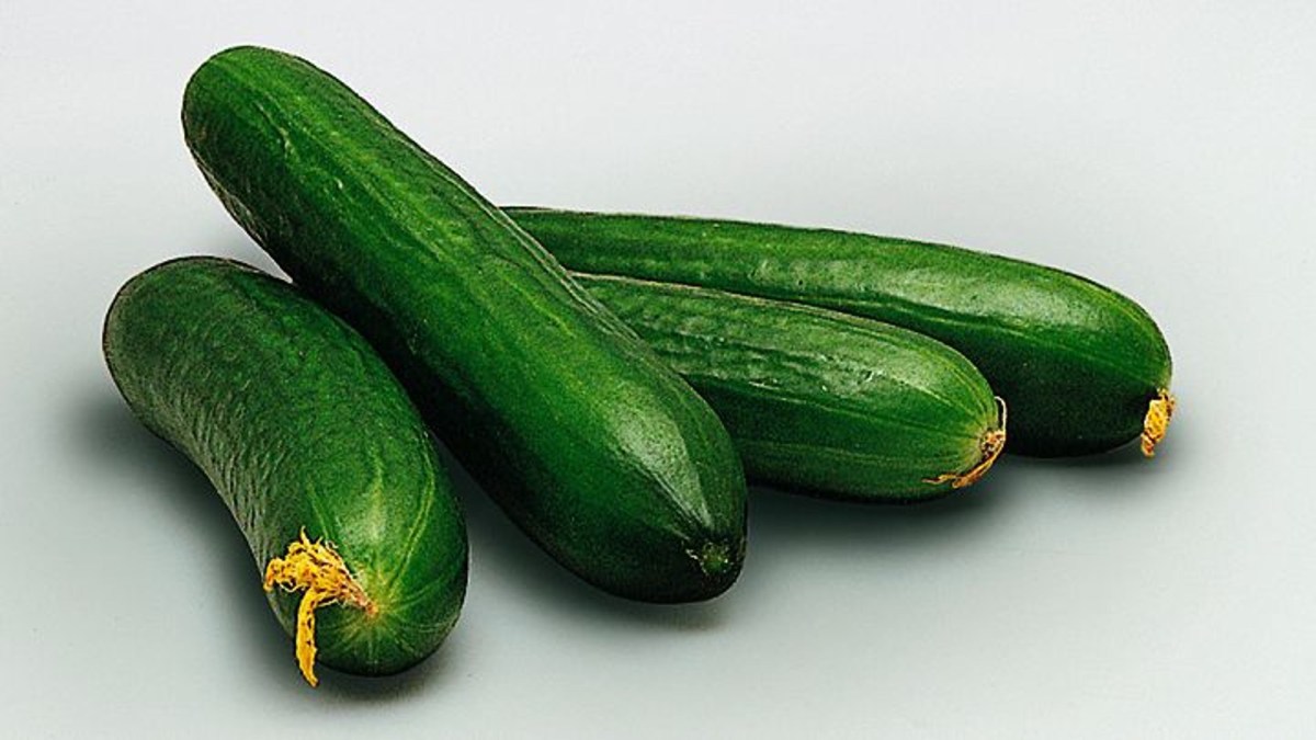 Pepino - BASF Agricultural Solutions España